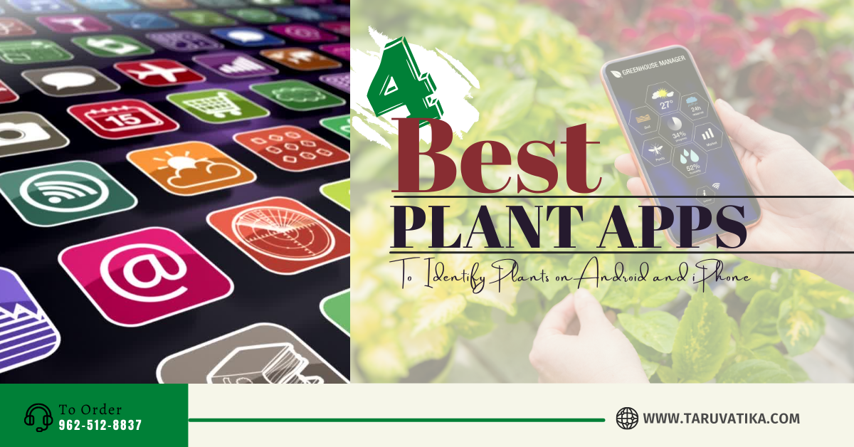 4 Best Plant Apps To Identify Plants On Android And IPhone Taru Vatika